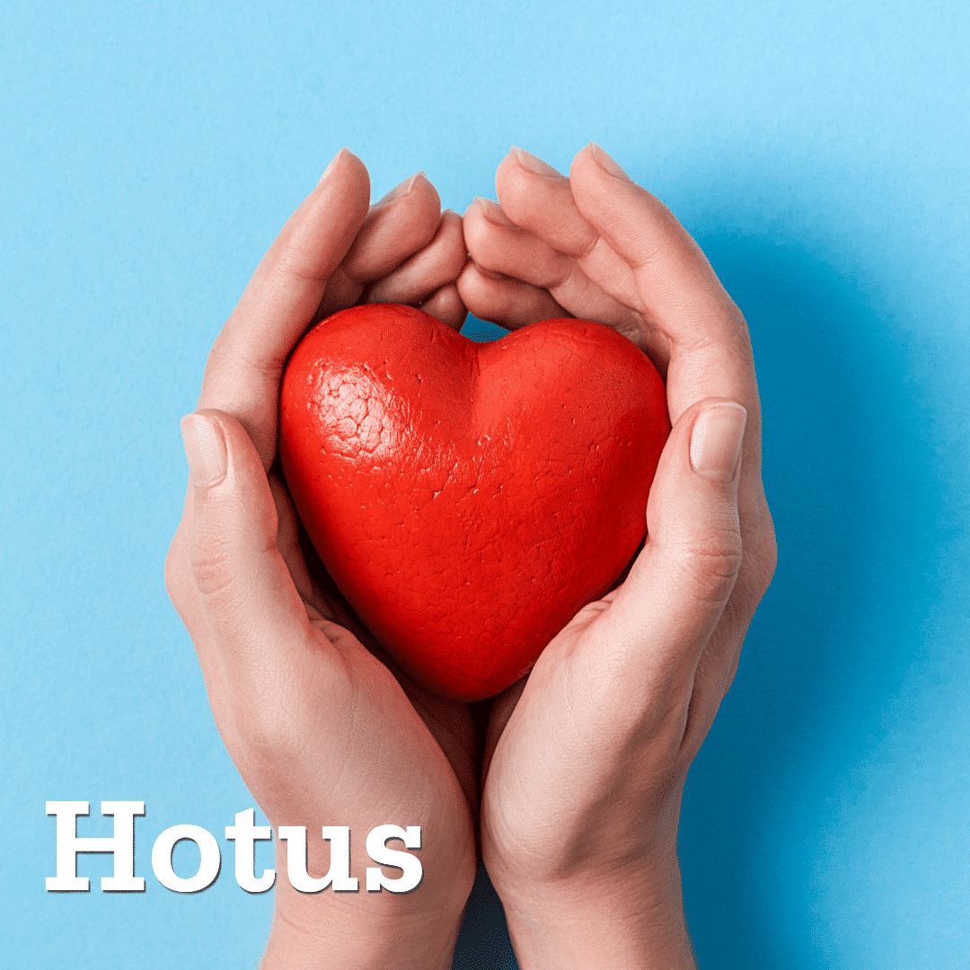 Hotus - Hoitotyön tutkimussäätiö sr